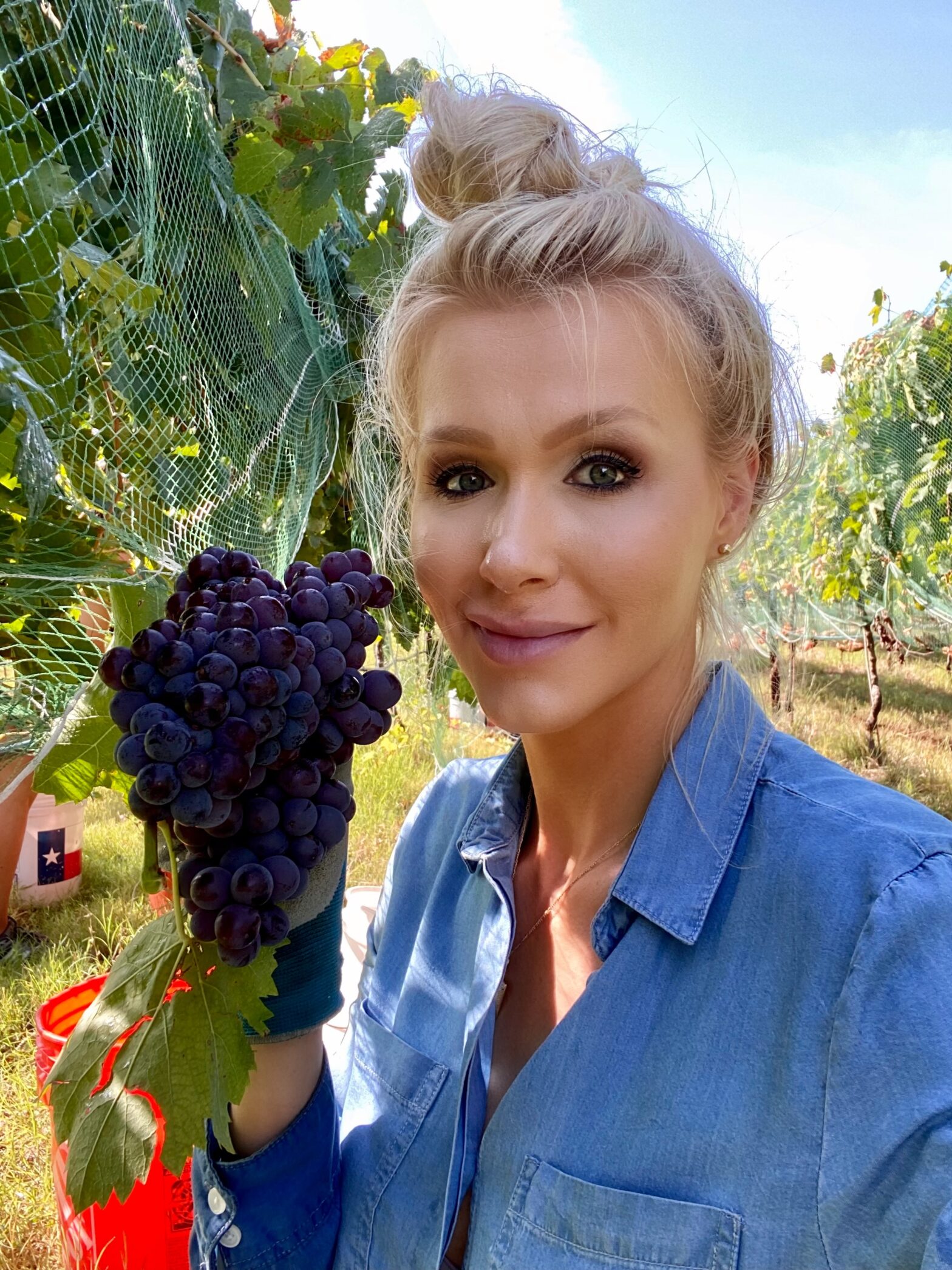 About Us – Meierstone Vineyards